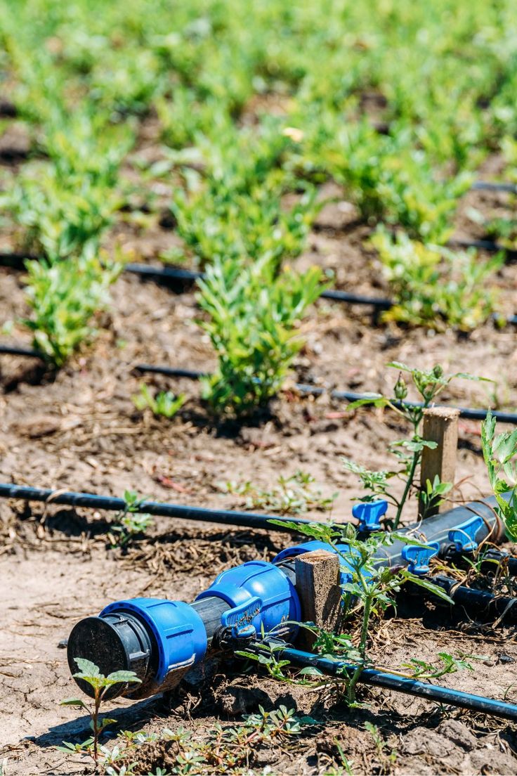 Top Benefits of Agricultural Pipes for Easy Farming